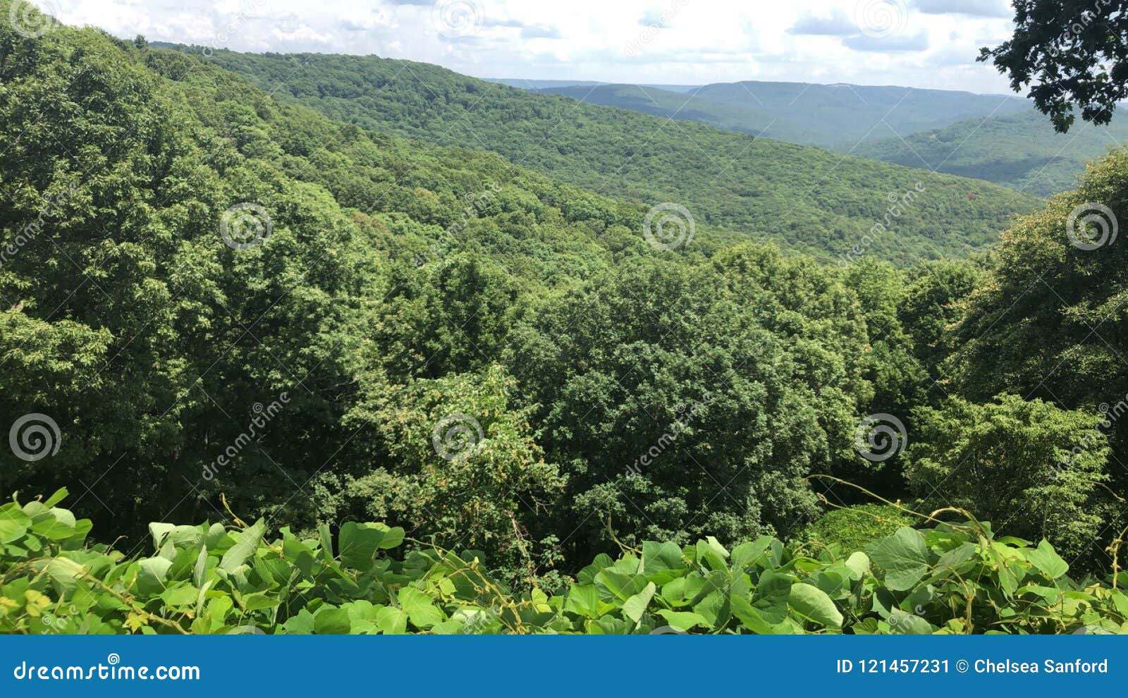 Boston Mountains stock image. Image of green, mountain - 121457231