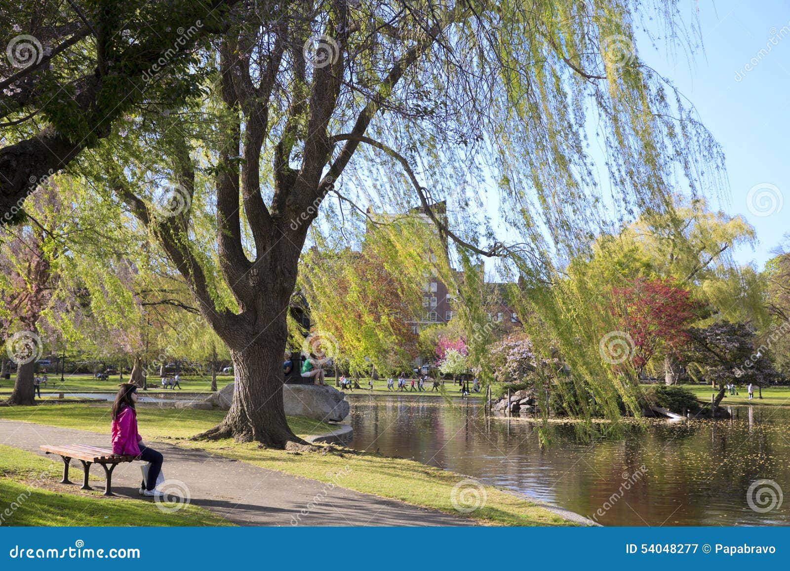 Boston Public Garden with First Signs of Spring Editorial Photography ...