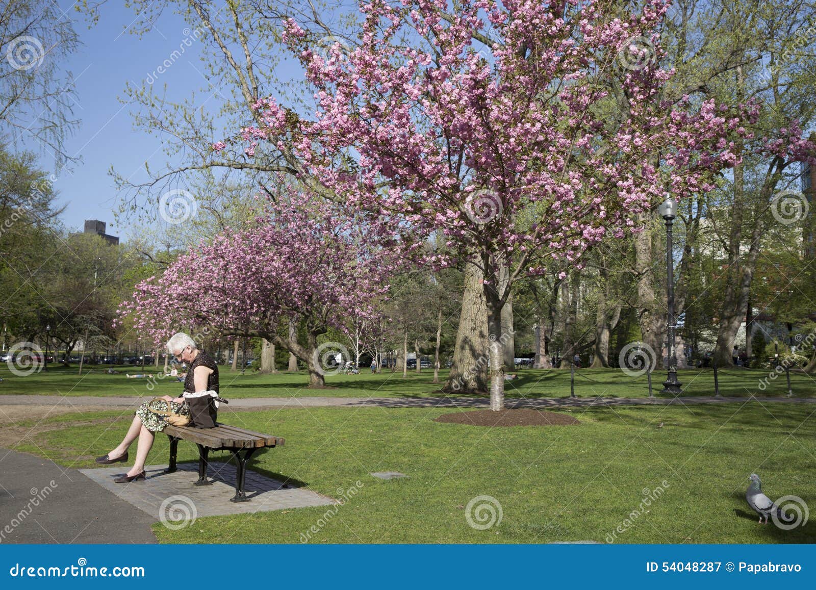 Boston Public Garden with First Signs of Spring Editorial Photography ...