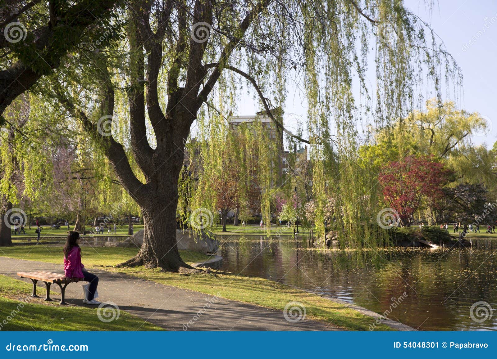 Boston Public Garden with First Signs of Spring Editorial Photo - Image ...