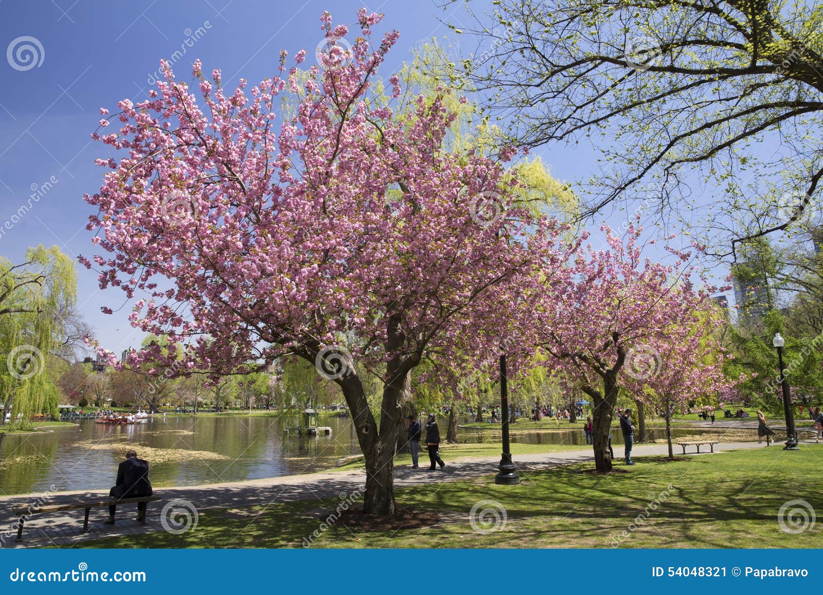 Boston Public Garden with First Signs of Spring Editorial Photo - Image ...
