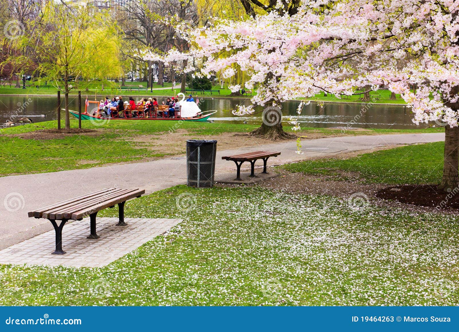 Boston Public Garden in the Spring Editorial Stock Photo - Image of ...