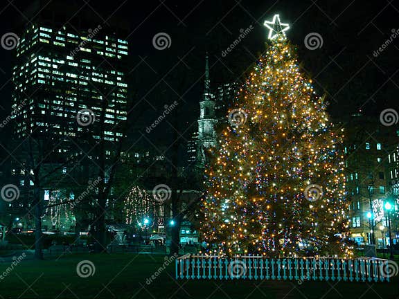 Boston s Christmas Tree stock photo. Image of xmas, church - 1626540