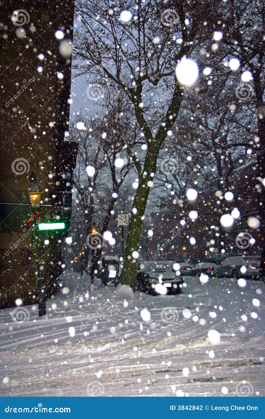 Boston Snow Storm editorial photography. Image of season - 3842842