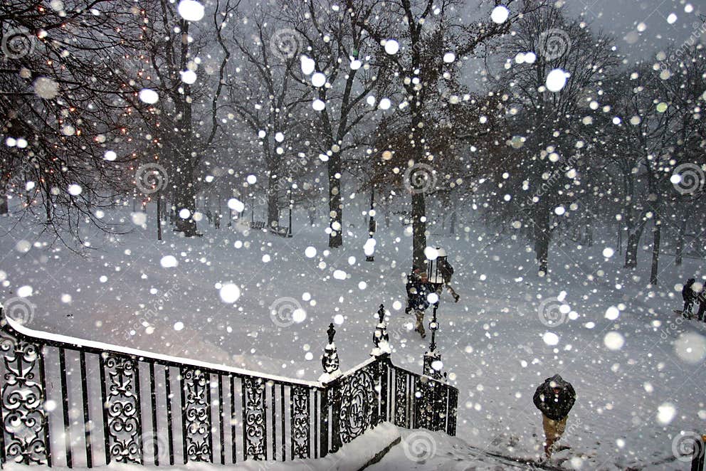 Boston Snow Storm editorial photography. Image of natural - 3842947