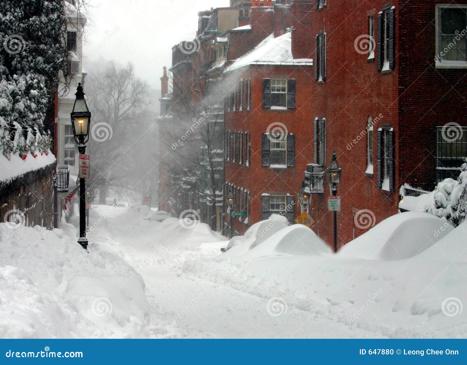 Boston Winter stock photo. Image of england, tree, boston - 647880
