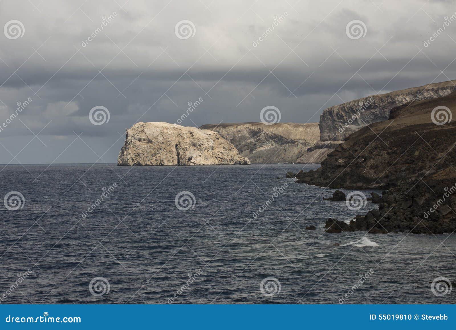 Bosun Bird Island Stock Photography | CartoonDealer.com #55019810