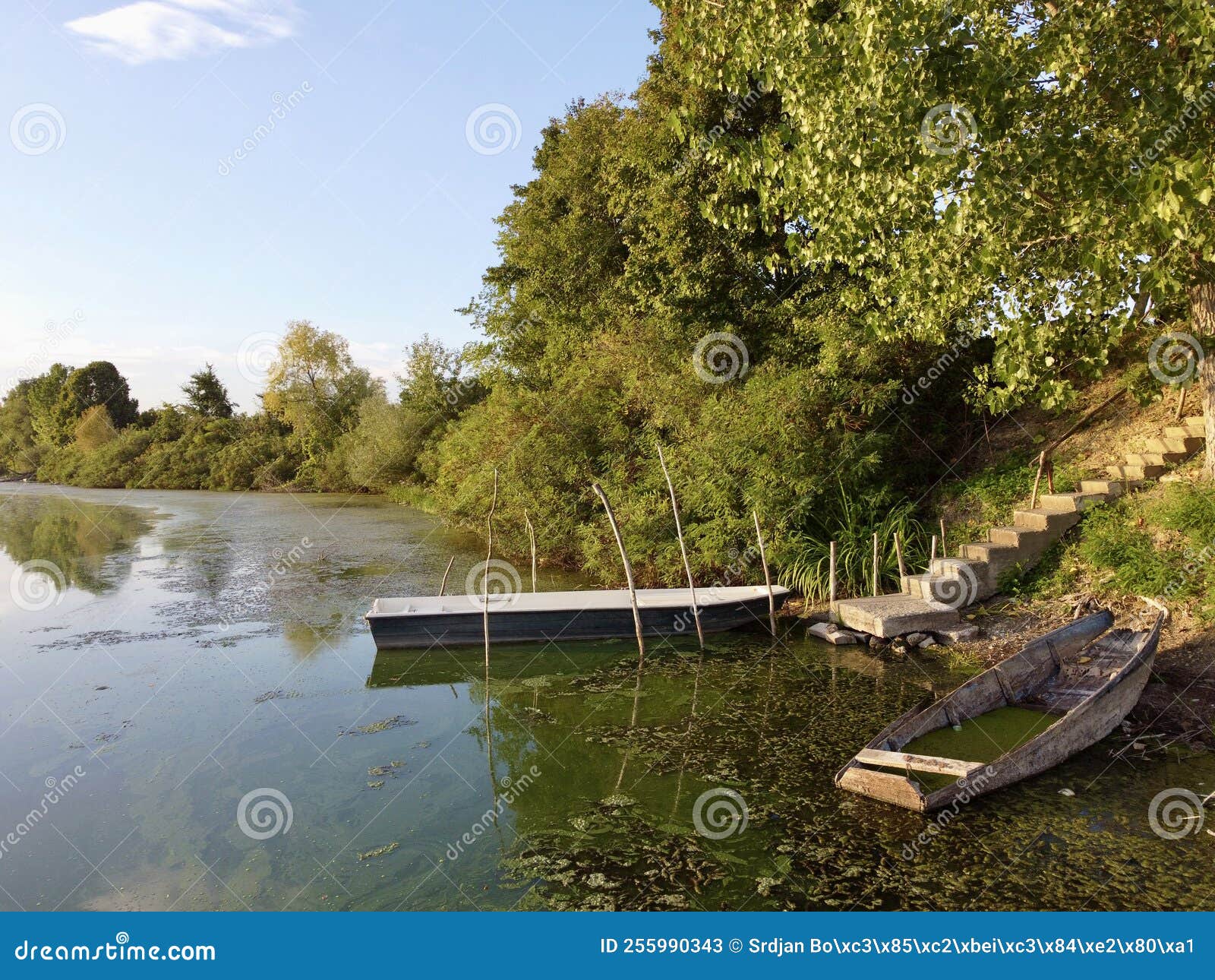 Bosut river stock image. Image of pond, tree, autumn - 255990343