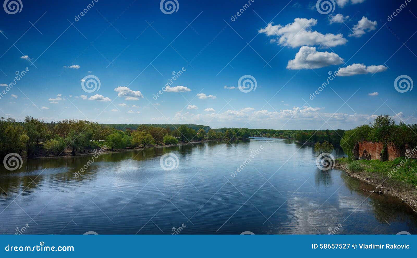 Bosut river stock image. Image of bosut, landscape, wood - 58657527