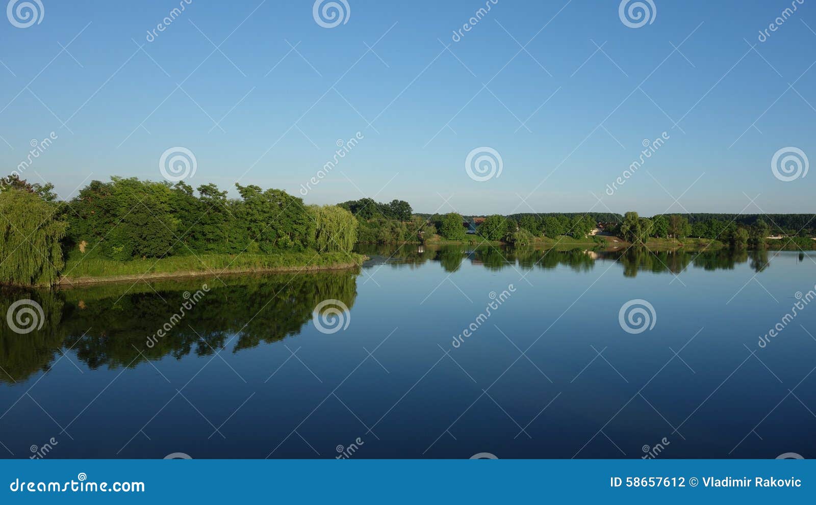 Bosut Serbia stock photo. Image of wather, wood, landscape - 58657612