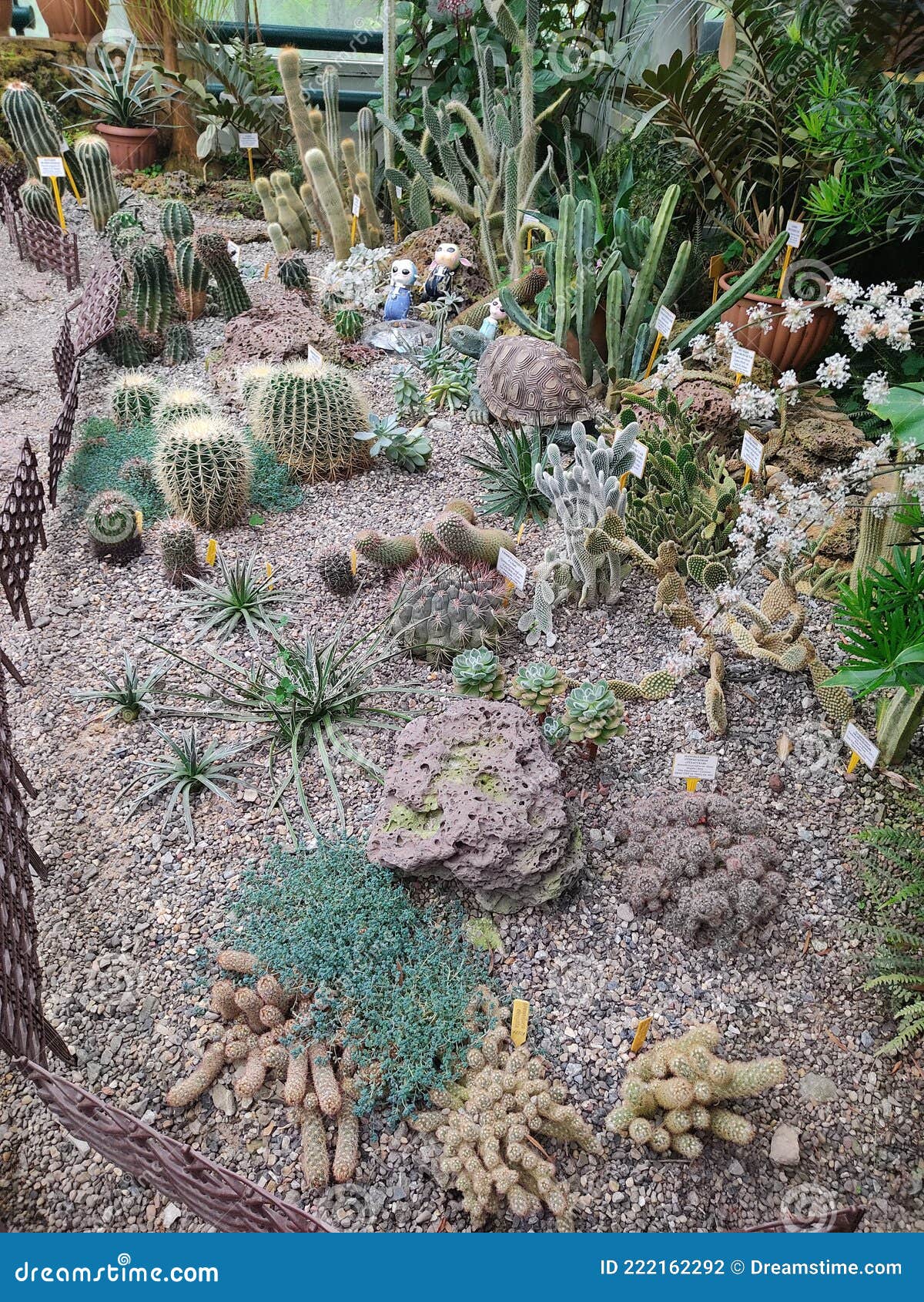 Botani garden nature stock photo. Image of botani, nature - 222162292