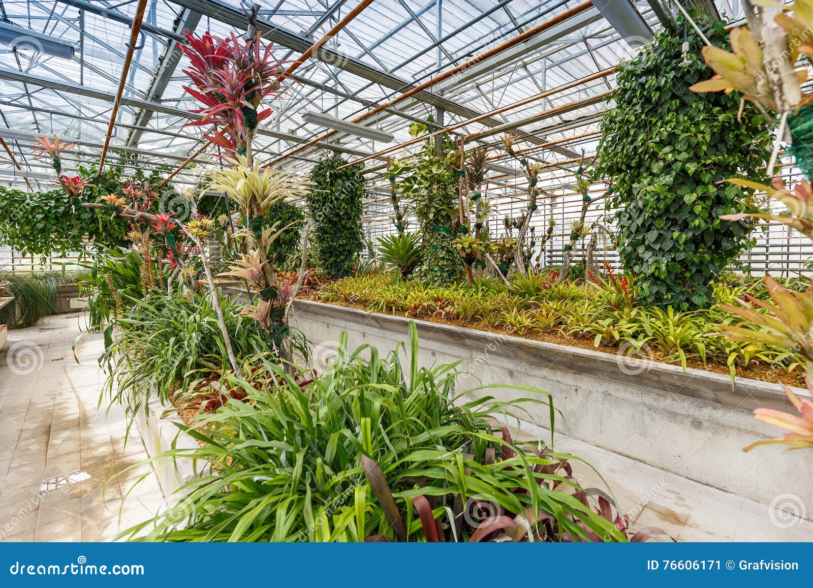 Botanic Glasshouse Building Stock Image - Image of glass, gardening ...