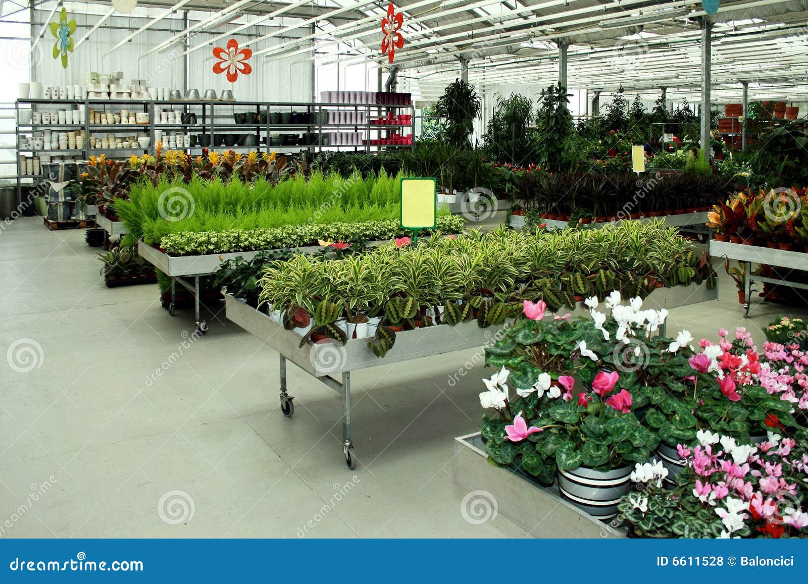 Botanic shop stock photo. Image of garden, beauty, petals - 6611528