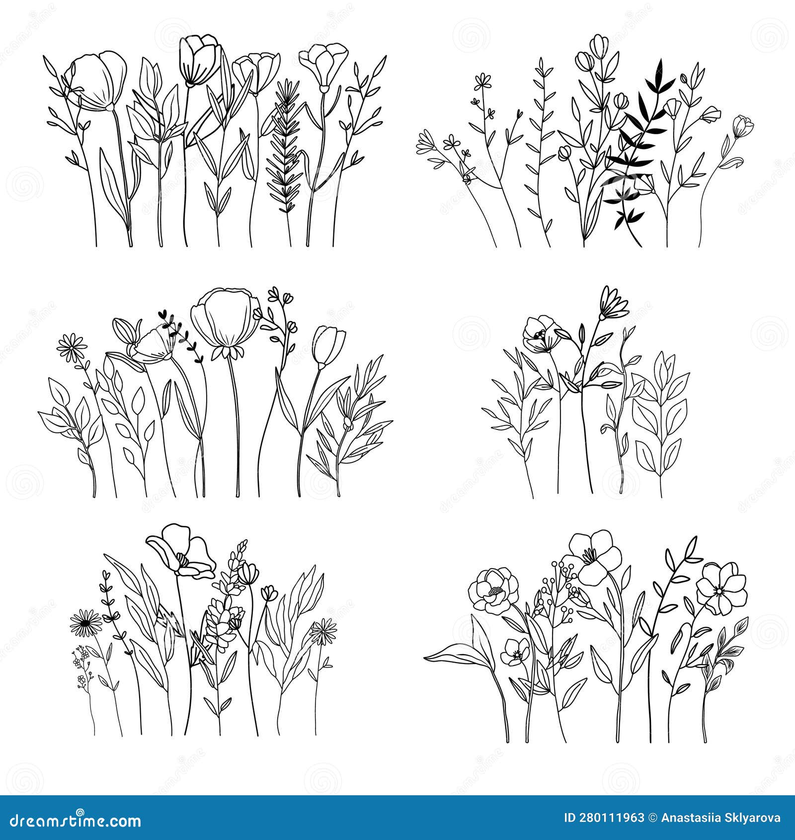 Botanical Abstract Line Art Composition Minimal Floral Border Of Hand