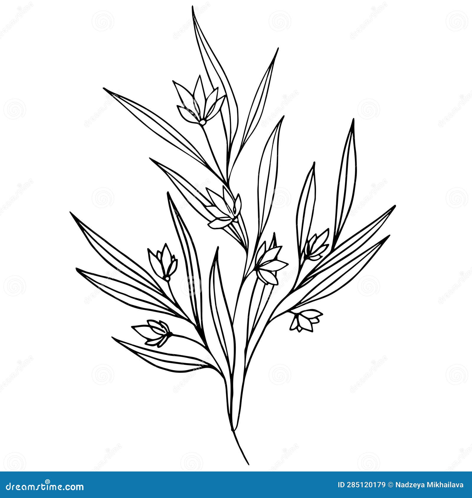 Botanical Abstract Line Art Composition With Minimal Floral Elements Of