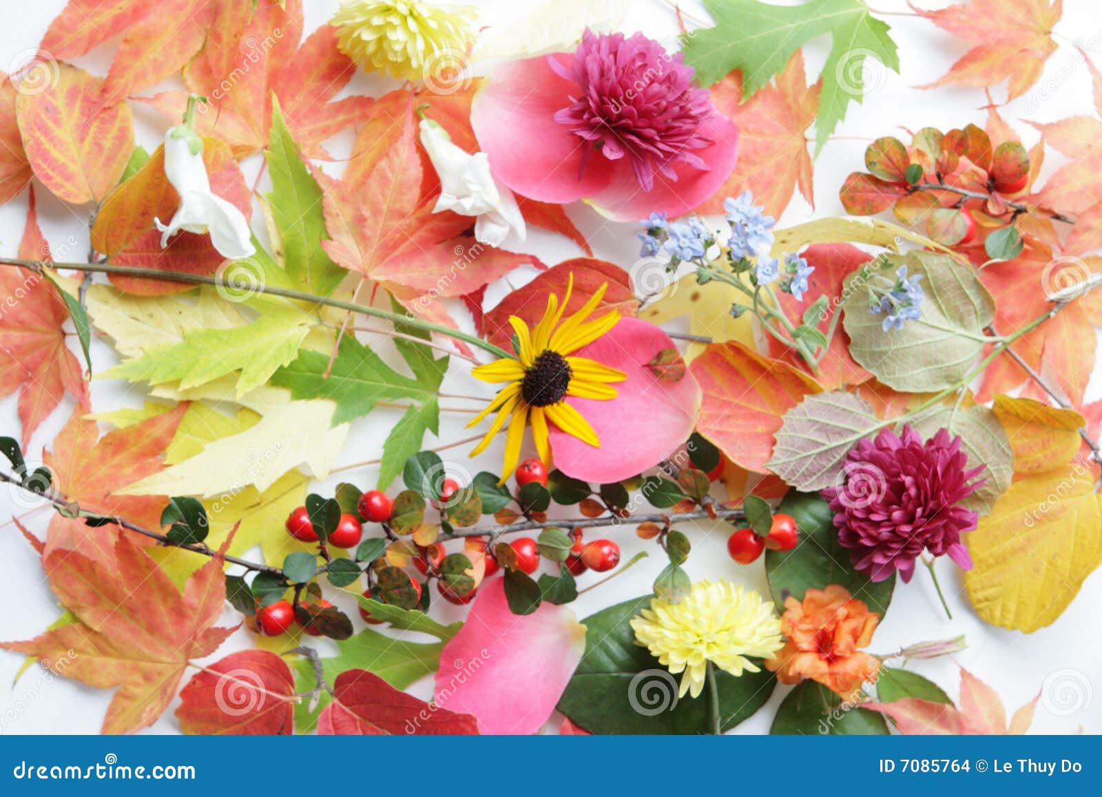 Botanical Background With Copy Space Made Of Many Thick Plants And ...