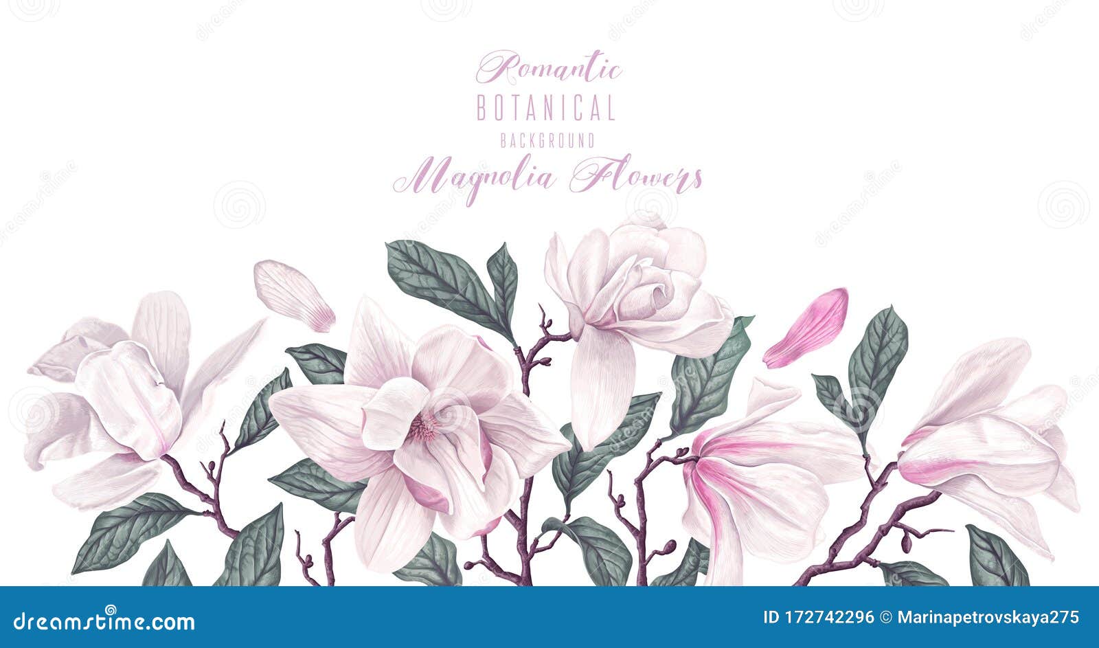 Vector Horizontal Border with White Magnolia Flowers and Leaves ...