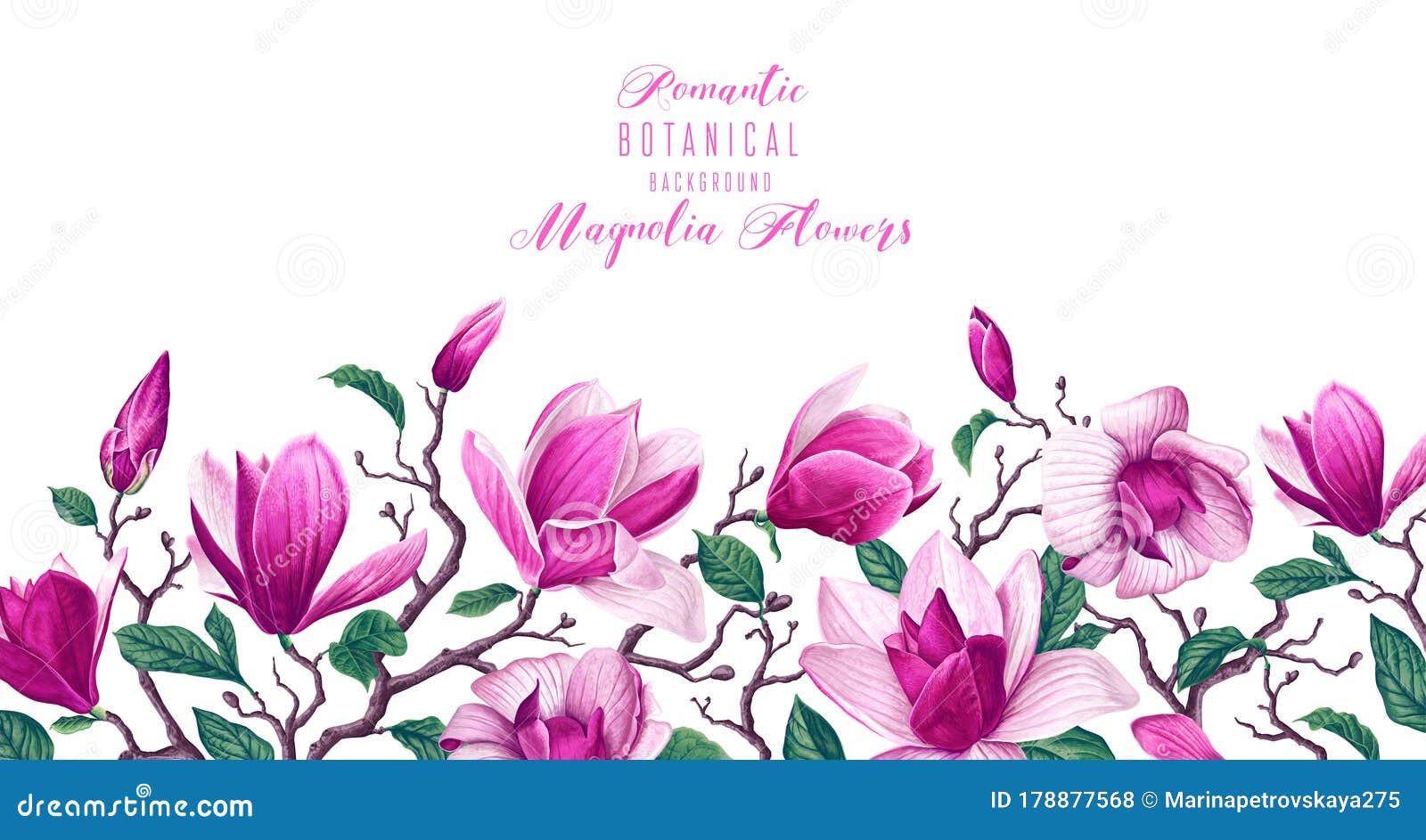 Vector Horizontal Border with Pink Magnolia Flowers and Leaves Isolated ...