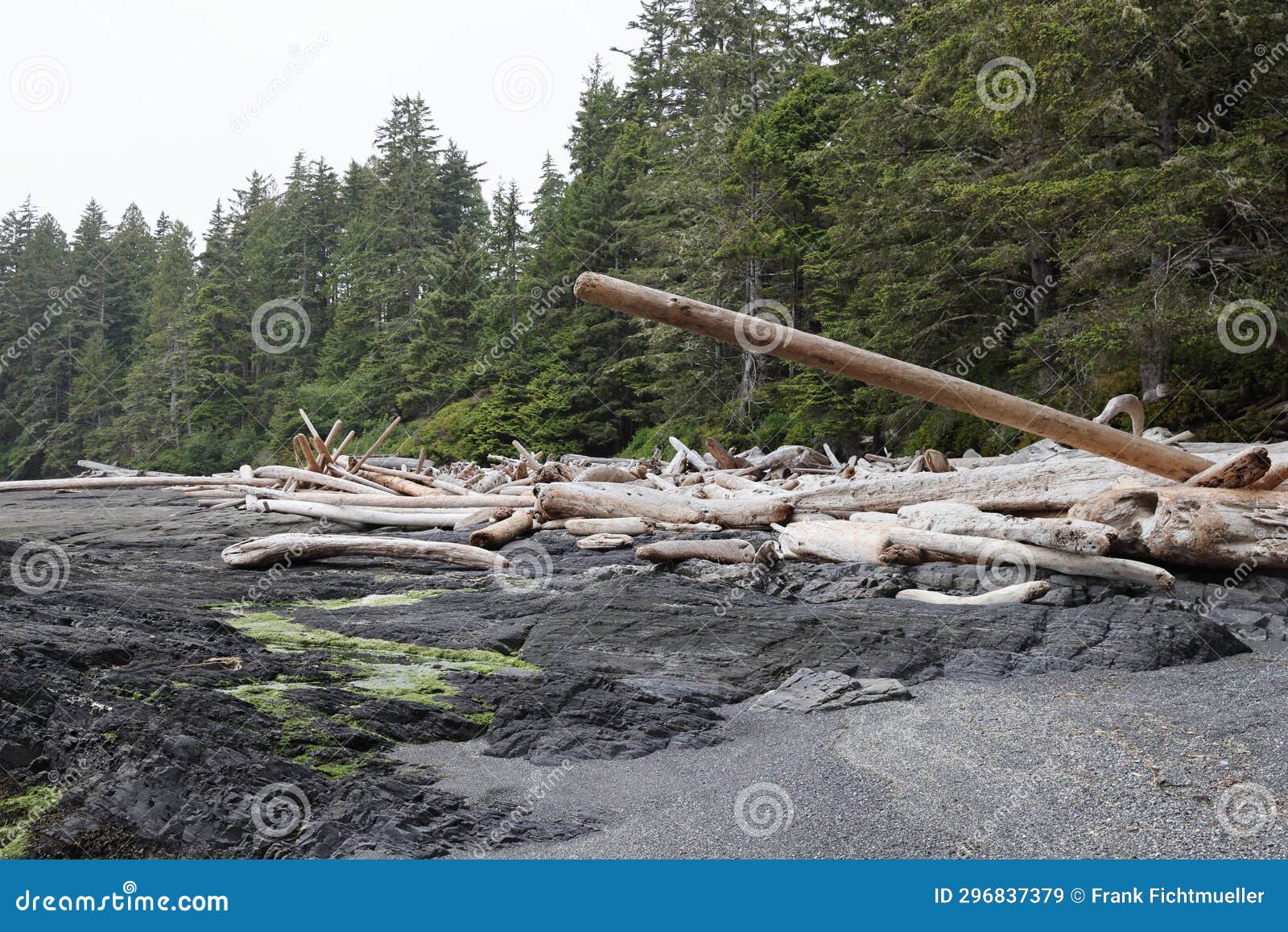Botanical Beach Provincial Park Vancouver Island Canada Stock Image ...