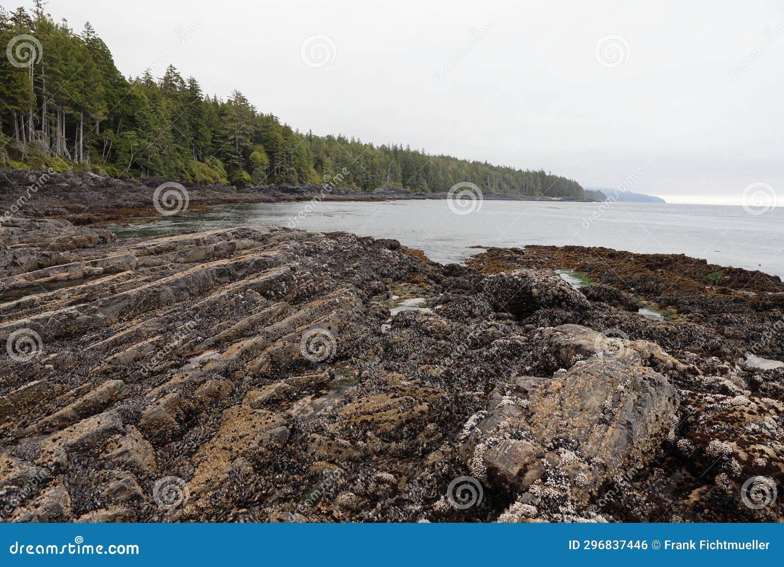Botanical Beach Provincial Park Vancouver Island Canada Stock Photo ...