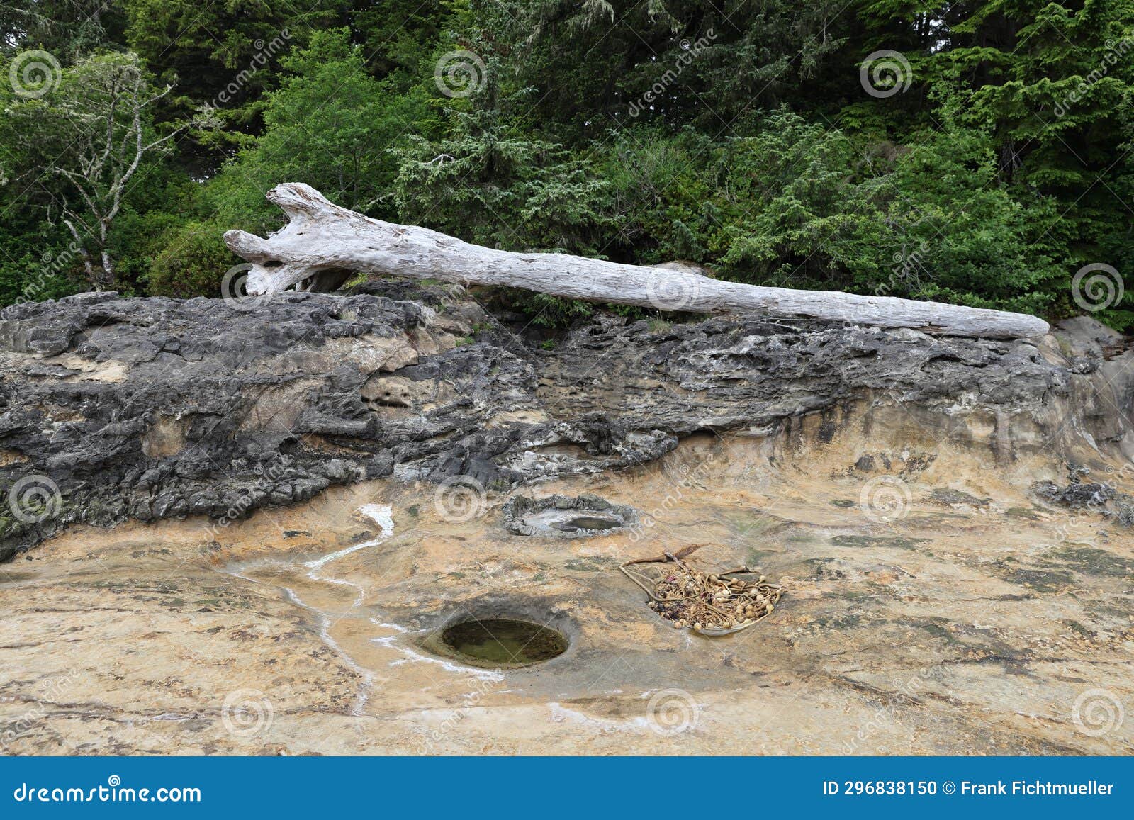 Botanical Beach Provincial Park Vancouver Island Canada Stock Photo ...