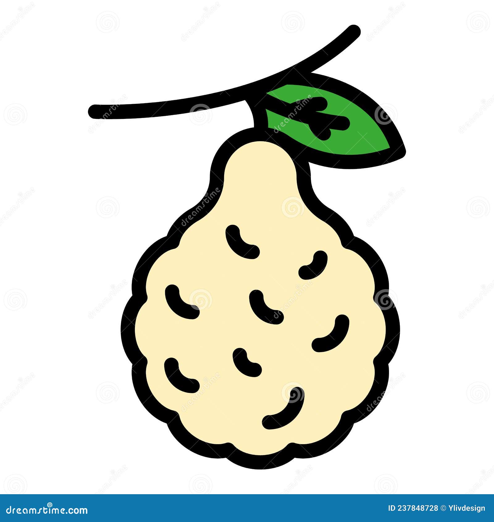 Botanical Bergamot Icon Color Outline Vector Stock Vector ...