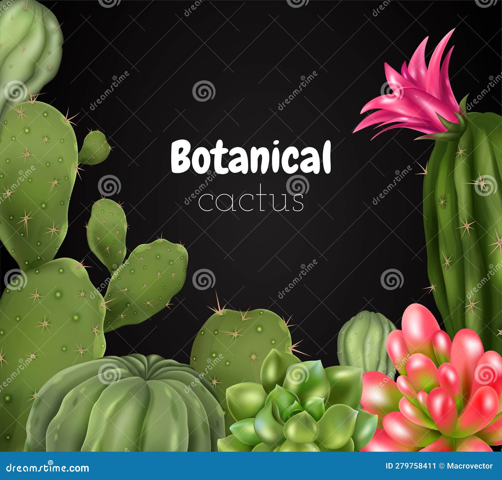 Botanical Cactus Chalkboard Composition Stock Vector - Illustration of ...