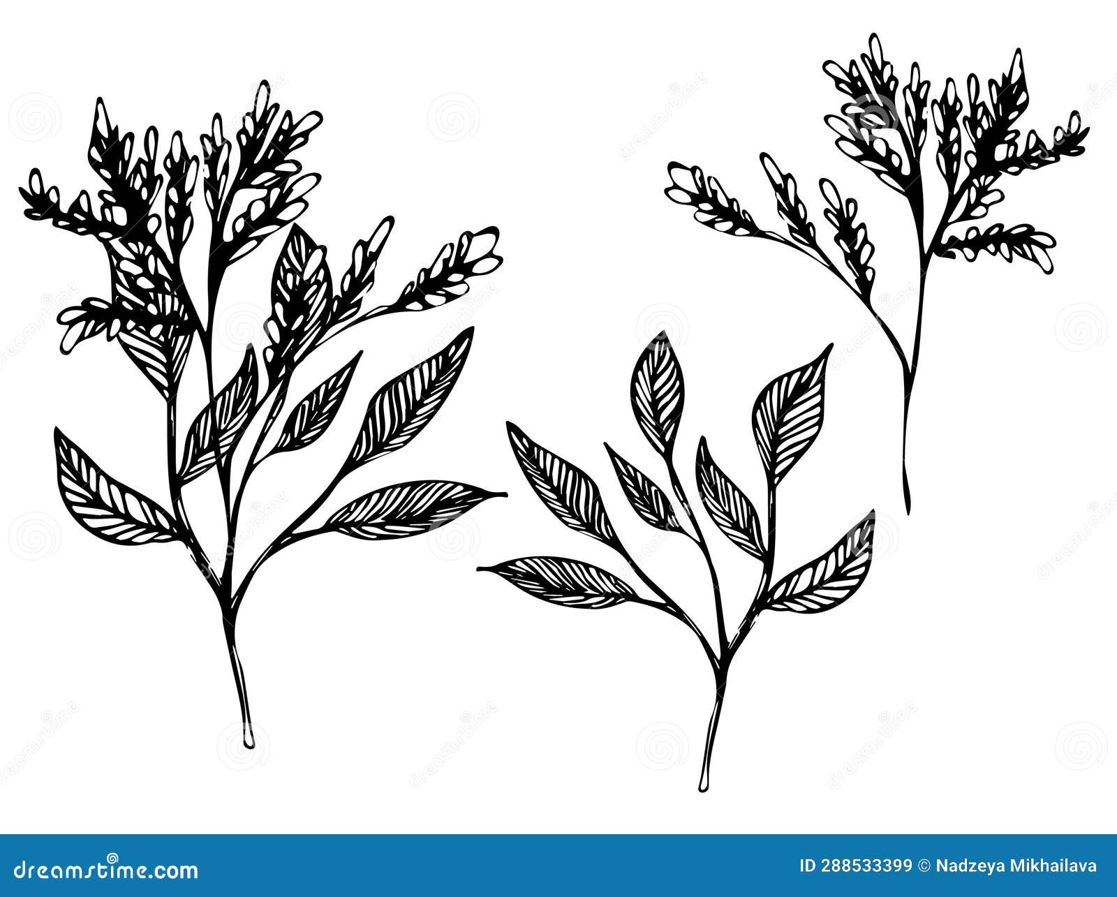 Botanical Composition with Flowers, Branches, and Leaves. Set of Vector ...
