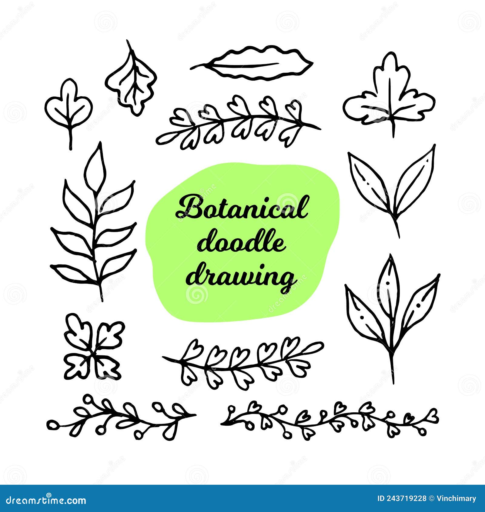 Botanical Doodle Drawing Illustration in Vector Stock Vector ...