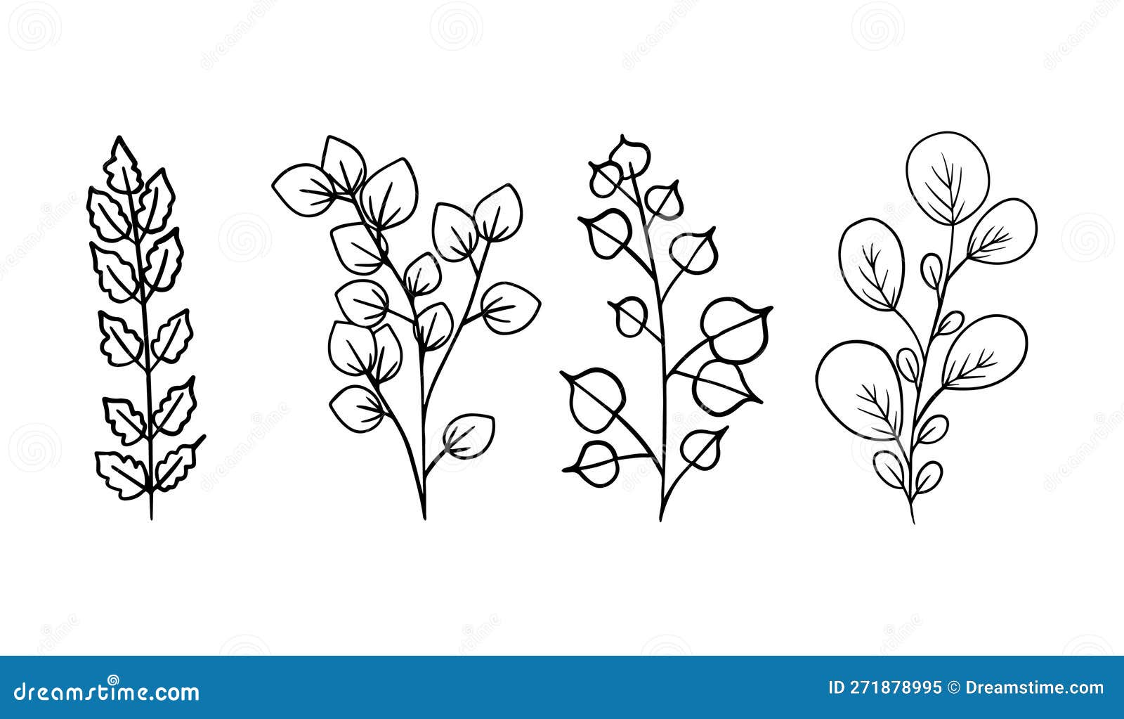 Botanical Elements - Branches with Leaves, Black Outline Illustration ...