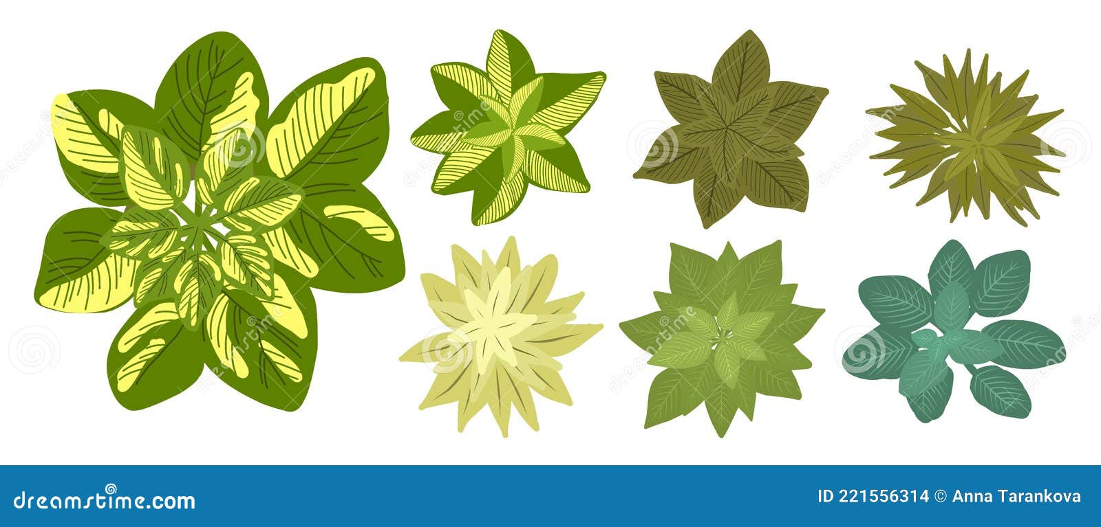 Botanical Elements For A Landscape Plan. Landscaping Constructor ...