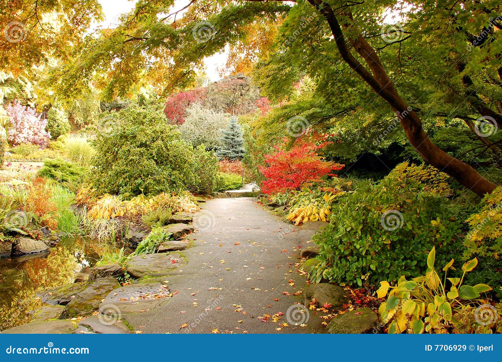 Botanical garden in autumn stock image. Image of nature - 7706929