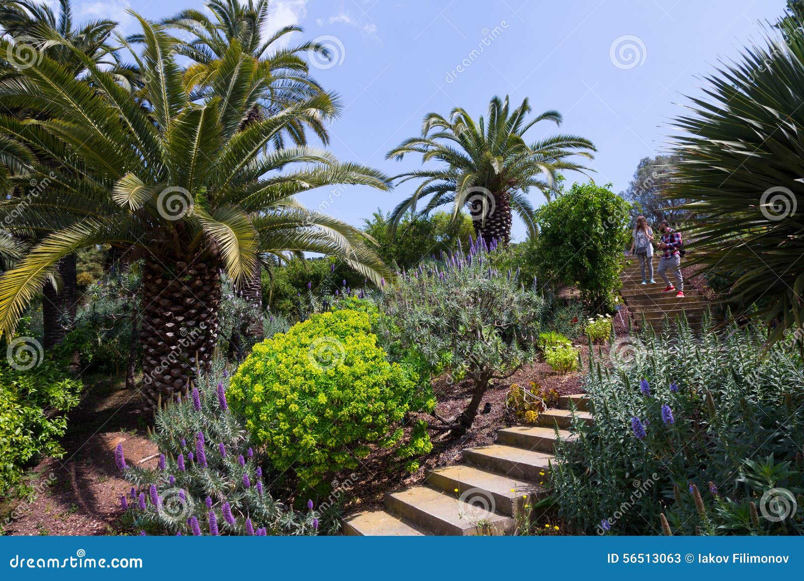 Botanical Garden of Barcelona in Spring, Spain Editorial Stock Photo ...