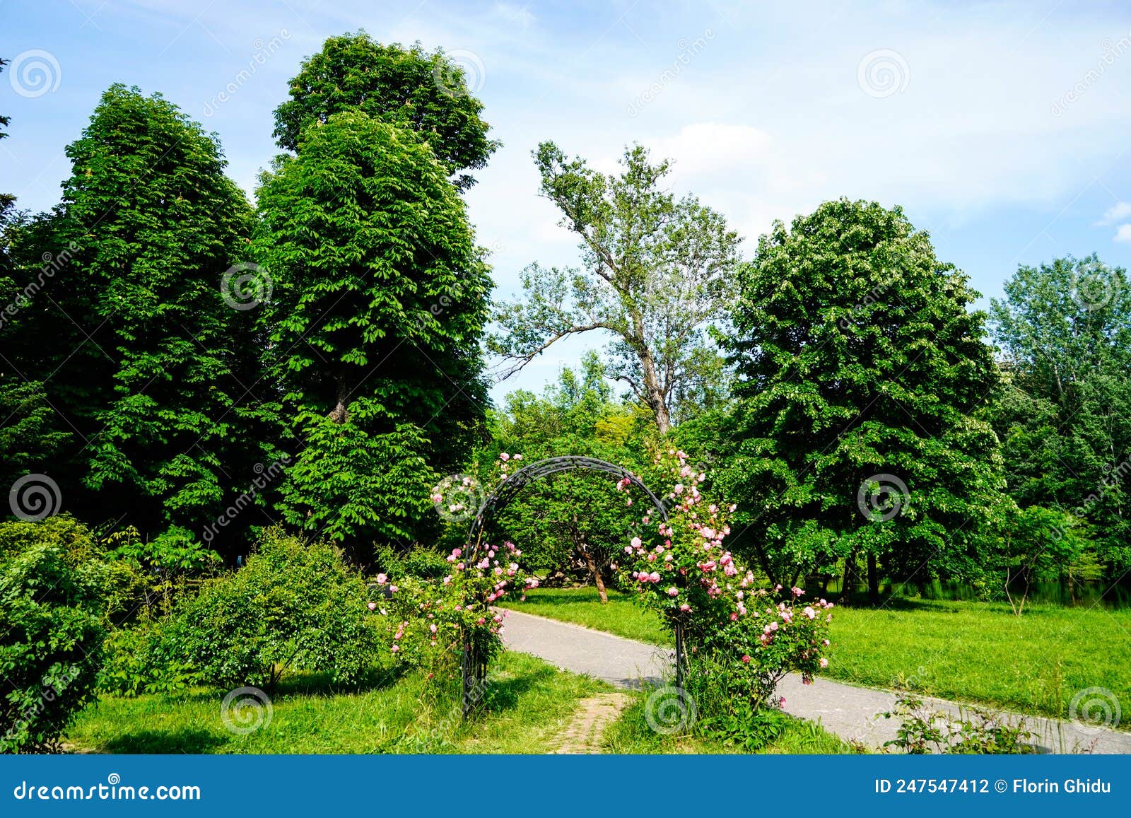 Botanical Garden, Bucharest City, Romania Stock Photo - Image of color ...