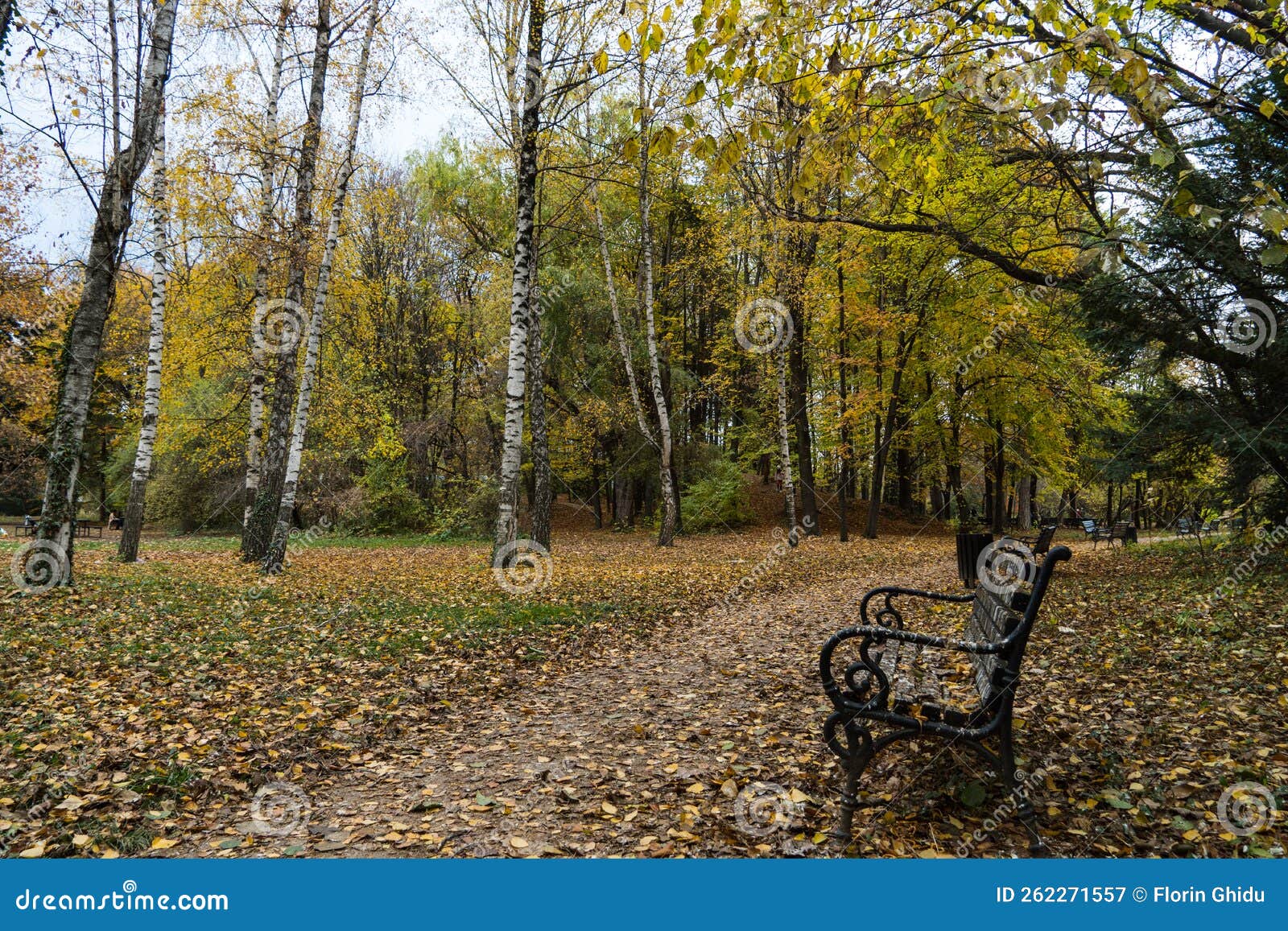 Botanical Garden, Bucharest City, Romania Stock Image - Image of nature ...