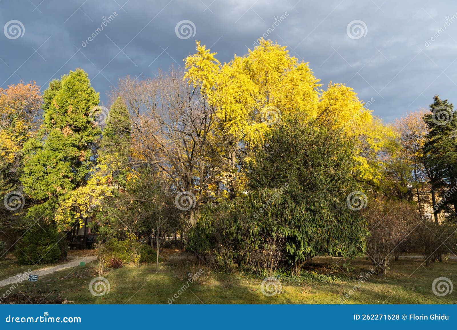 Botanical Garden, Bucharest City, Romania Stock Photo - Image of ...