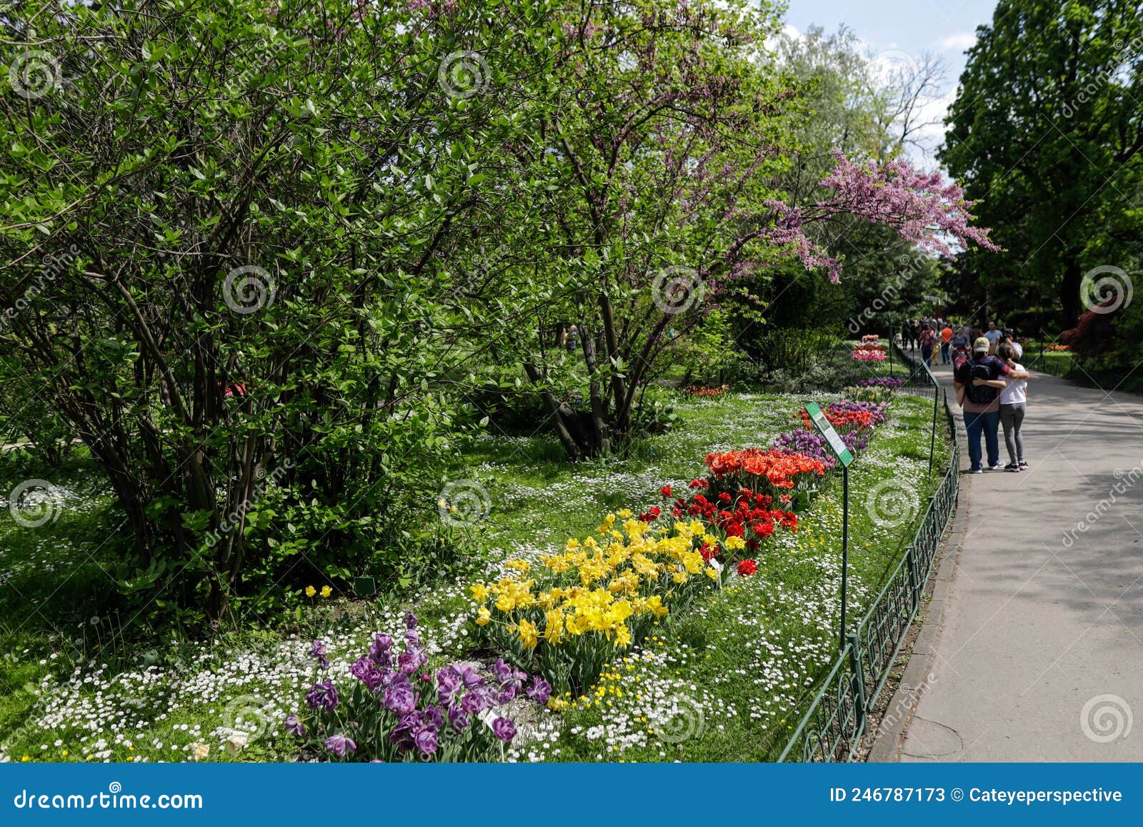 Botanical Garden of Bucharest on a Sunny Spring Day Editorial Stock ...