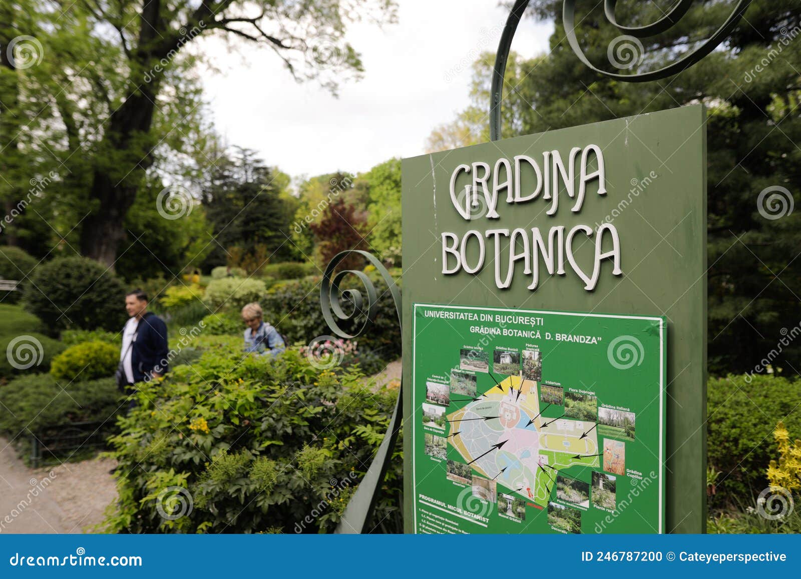 Botanical Garden of Bucharest on a Sunny Spring Day Editorial Image ...