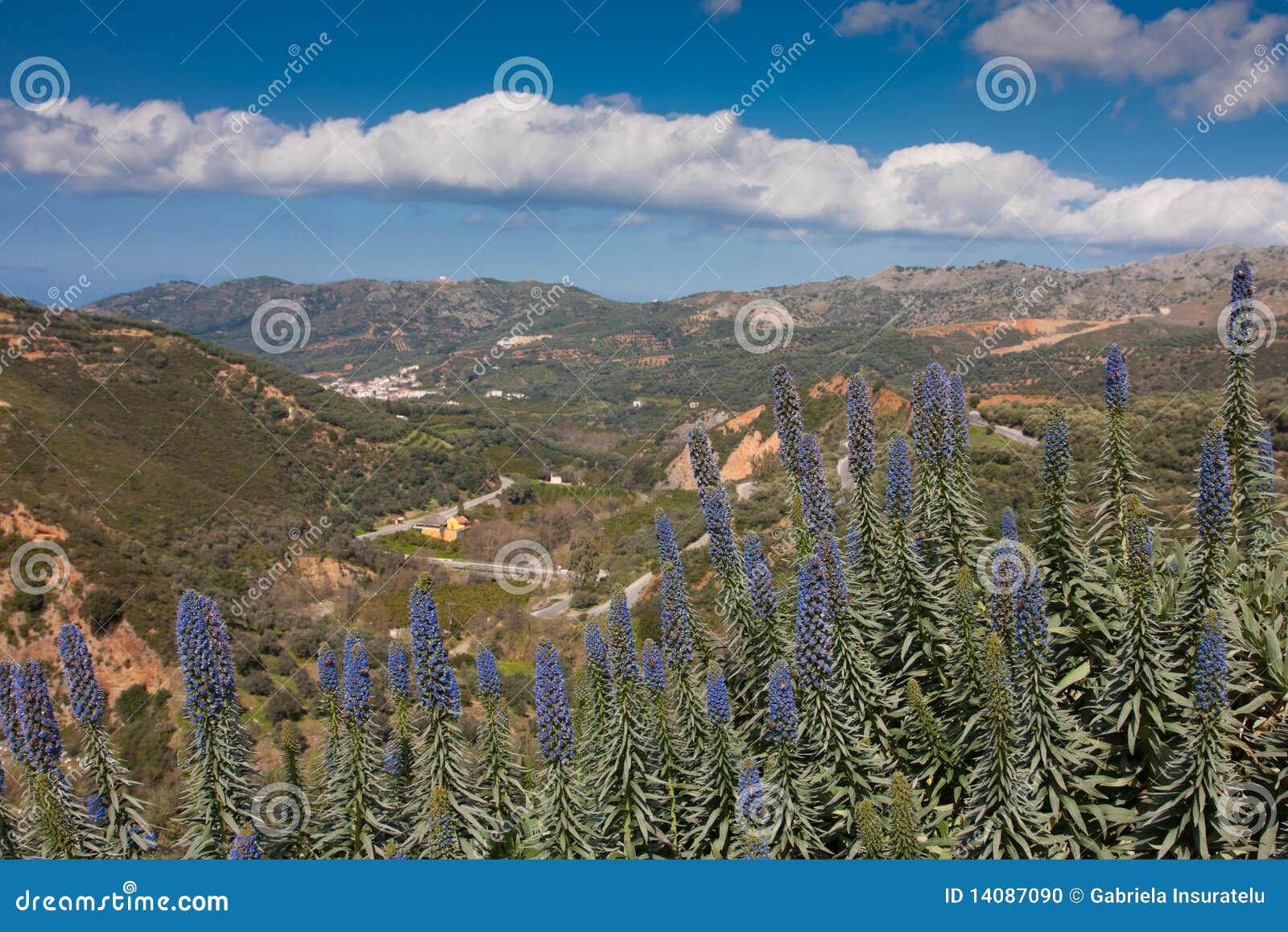 Botanical Garden of Crete stock photo. Image of mountain - 14087090