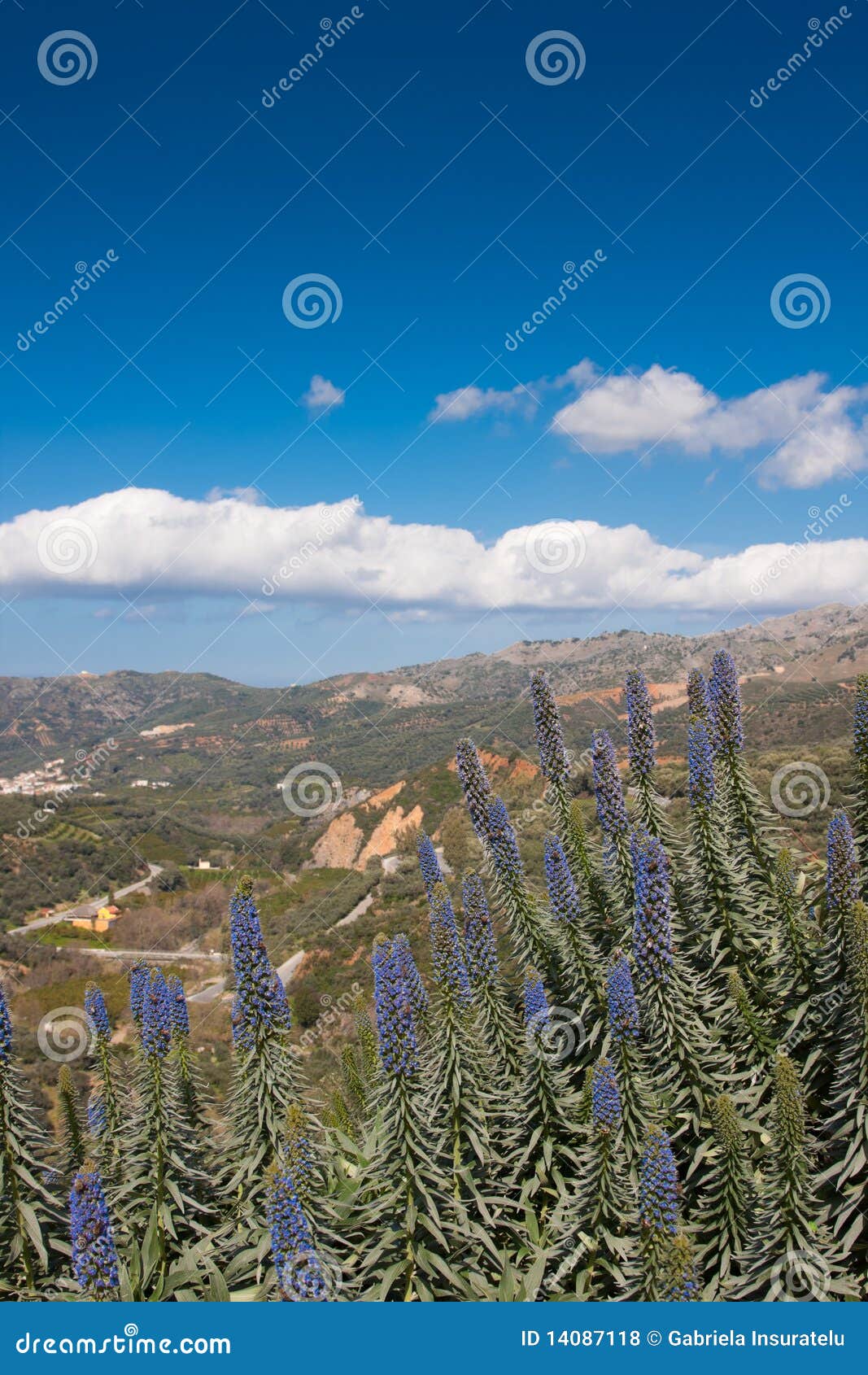 Botanical Garden of Crete stock photo. Image of summer - 14087118