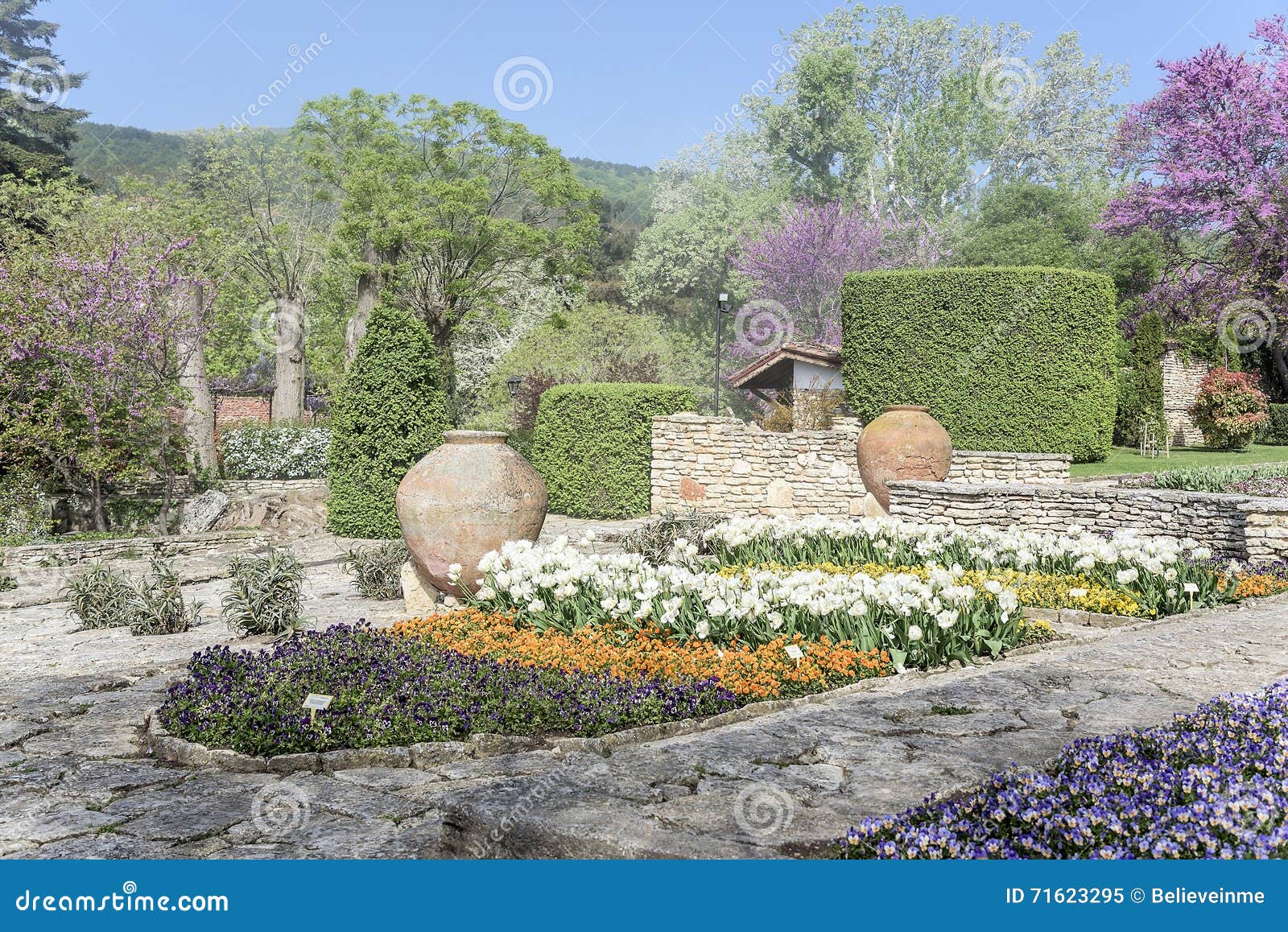 Botanical garden at dawn. stock image. Image of cape - 71623295