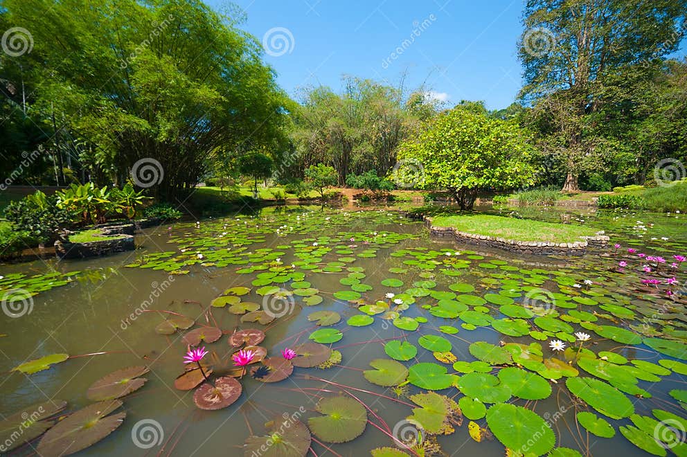 Botanical Garden landscape stock image. Image of design - 25667873