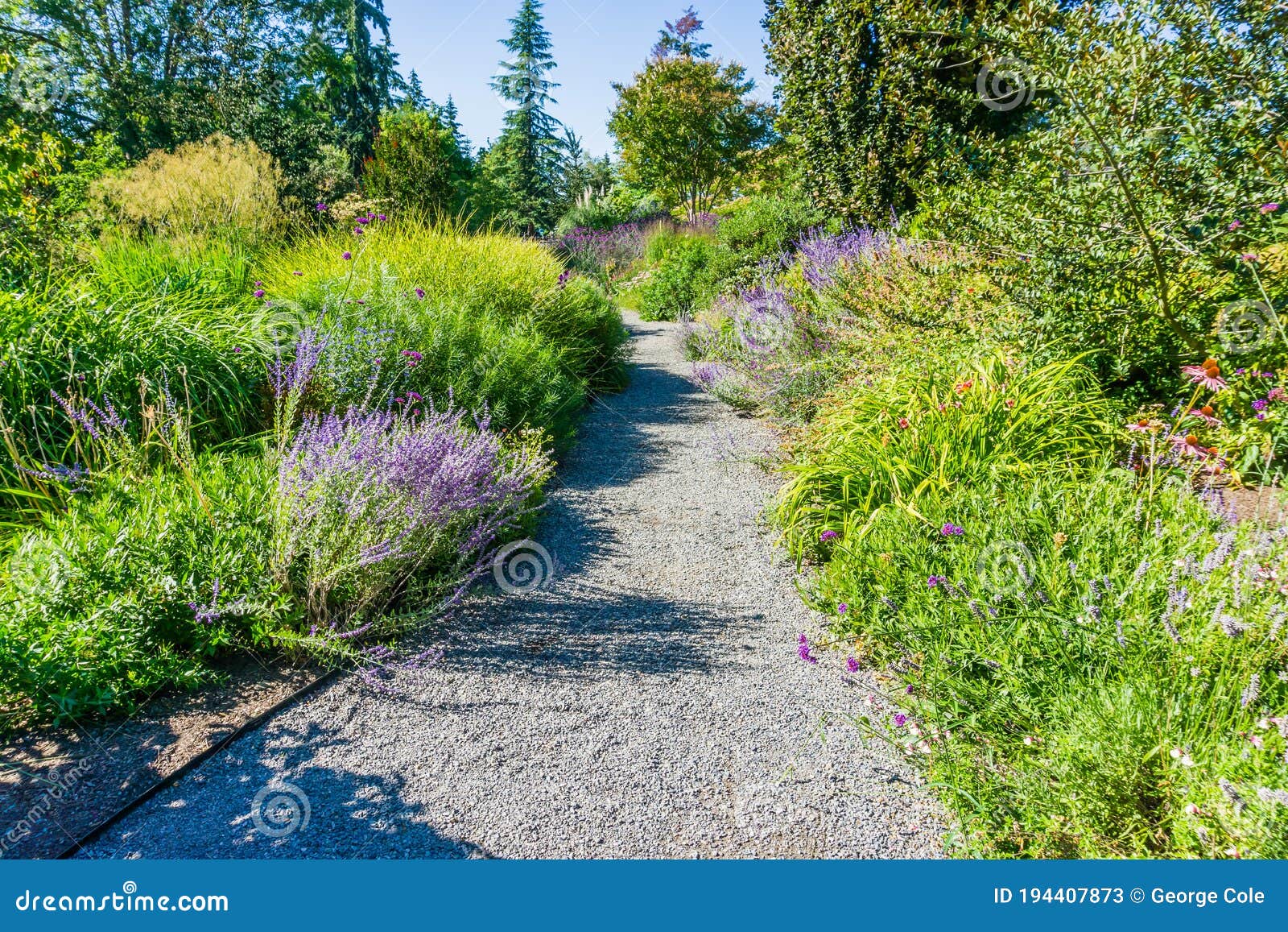 Botanical Garden Path 5 stock image. Image of outdoors - 194407873