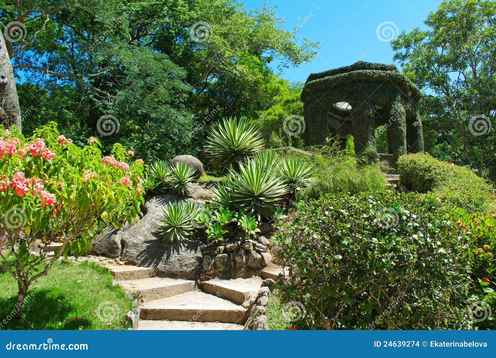 Botanical Garden in Rio De Janeiro Editorial Stock Image - Image of ...