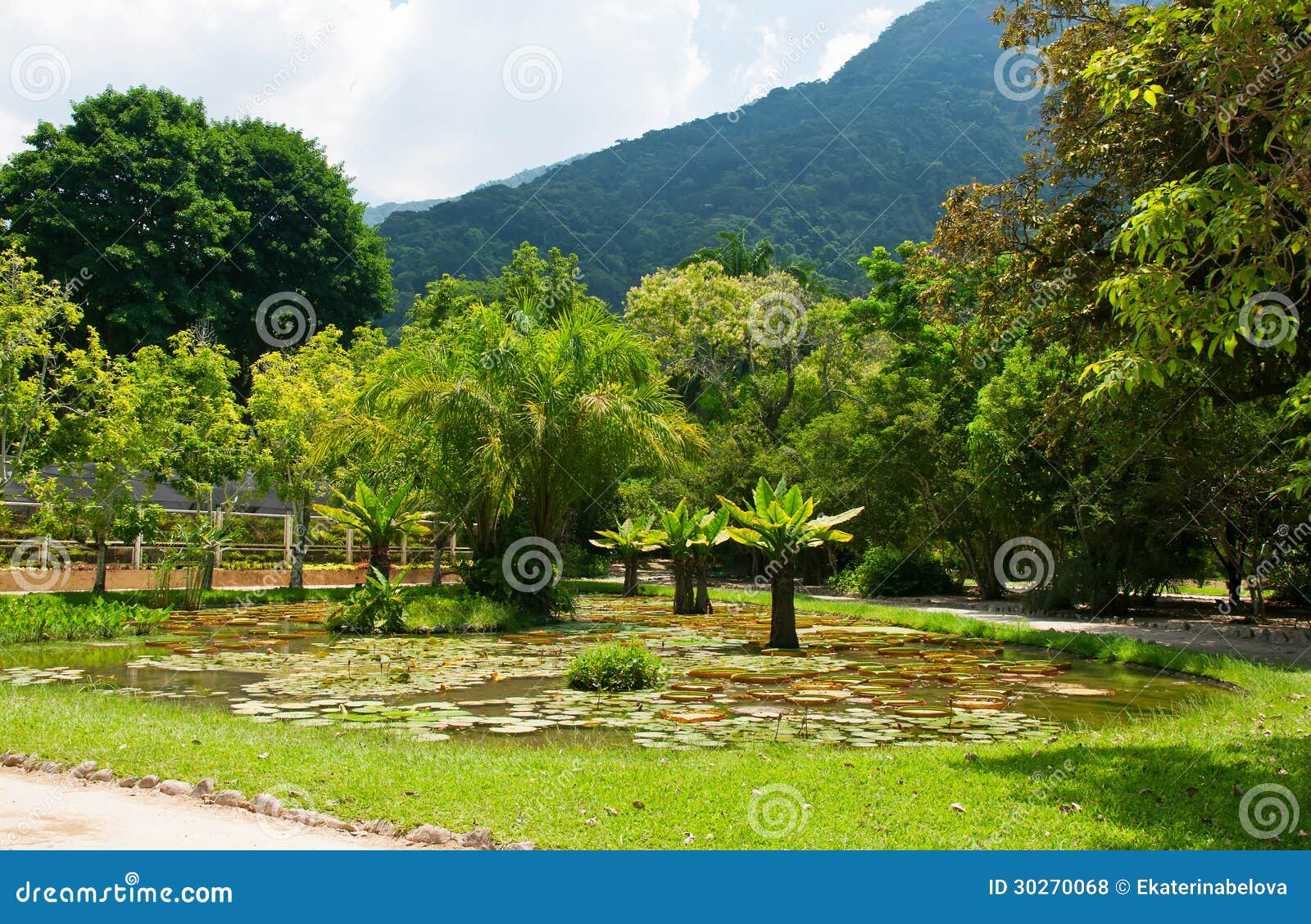 Botanical Garden in Rio De Janeiro Editorial Stock Photo - Image of ...