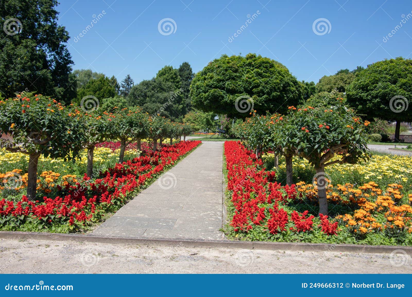 Botanical garden Solingen stock photo. Image of solingen - 249666312