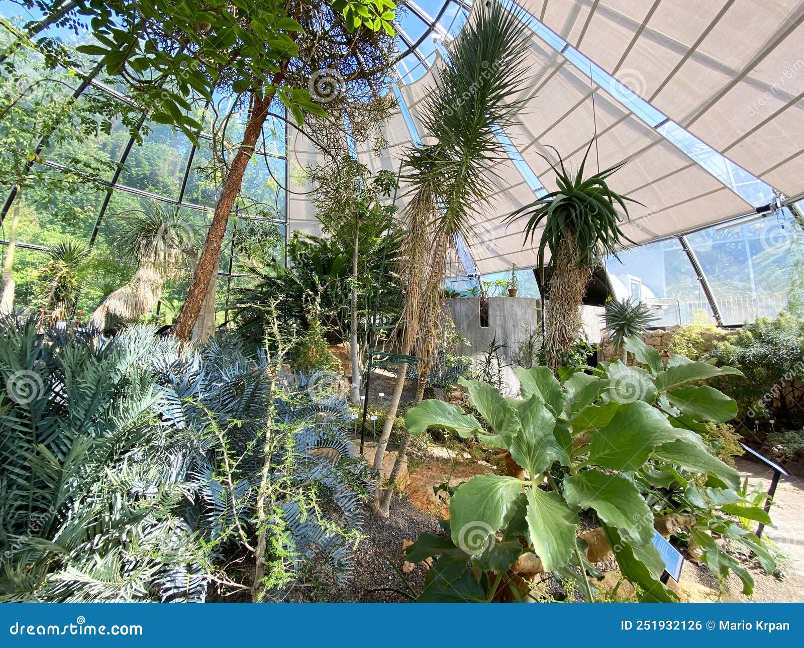 The Botanical Garden of the University of Zurich or Botanischer Garten ... The Botanical Garden of the University of Zurich or Botanischer Garten ...