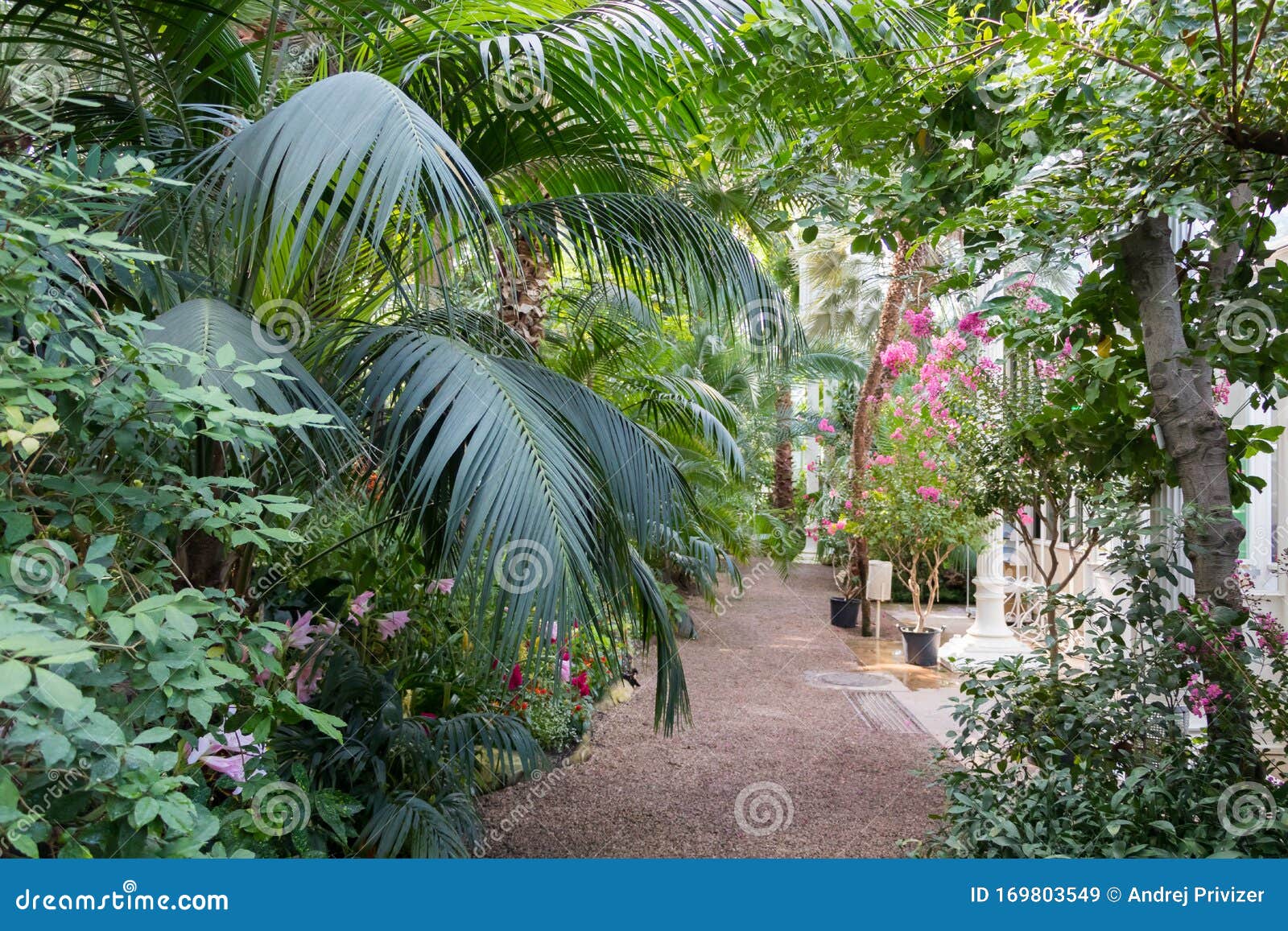 Botanical Garden in Vienna with a Tropical Plants and Trees, Austria ...