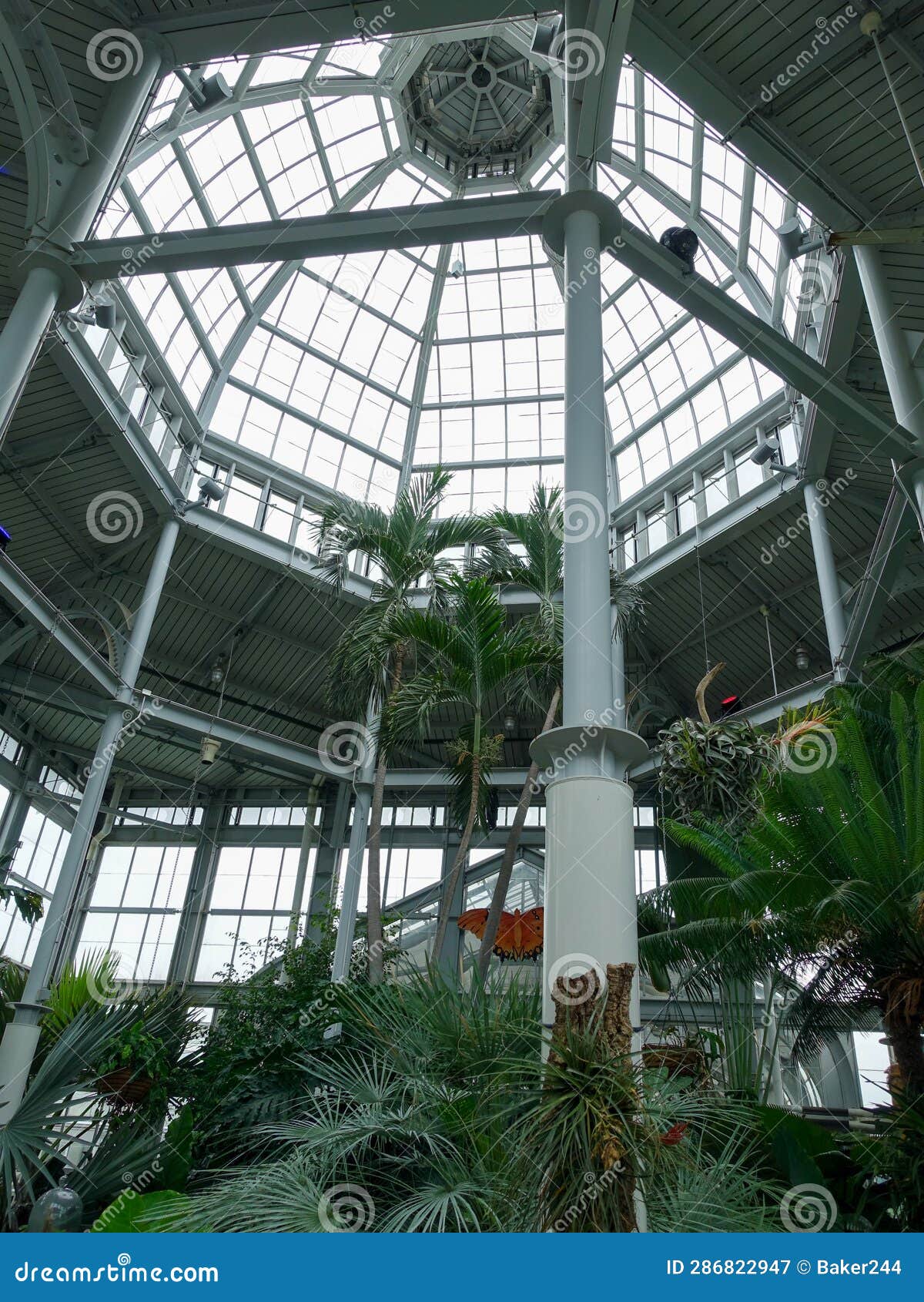 Botanical Gardens Atrium Richmond Virginia Stock Image - Image of ...