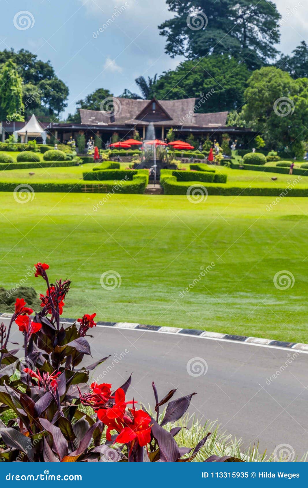 Botanical Gardens Bogor, West Java, Indonesia Stock Image - Image of ...